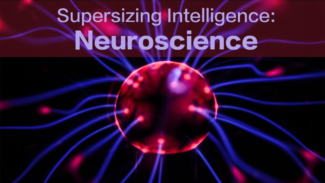 The Neuroscience of Strategic Thinking in 2024 | NZ Engineers CPD by ...