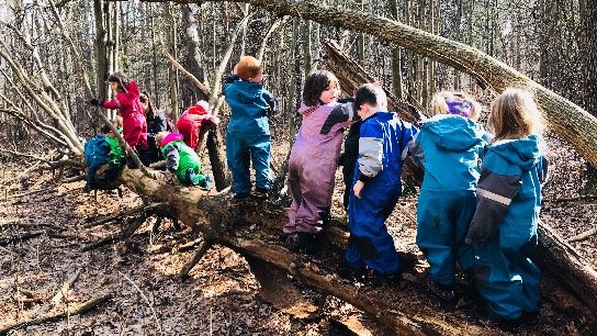 Nature-based Early Childhood Education | ECE Learning by learnformula