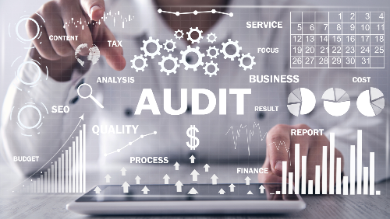 40 CPE PACKAGE: Internal Audit Major Updates | CPE QAS by learnformula