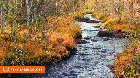 Treatment Techniques for Streambank Stabilization | CPD Engineers by ...