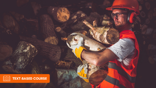 Guide to Commercial Lumber, Round Timbers, and Ties | NZ Engineers CPD ...