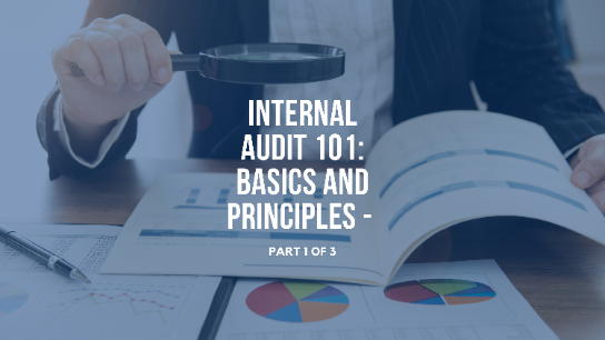 Internal Audit 101: Basics and Principles - Part 1 of 3 | CPDFormula by learnformula