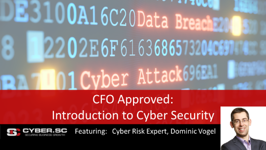 CFO Approved: Introduction to Cyber Security | CPDFormula by learnformula