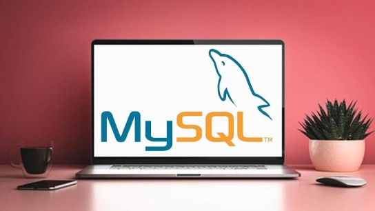 The Complete MySQL Server from Scratch: Bootcamp | CPE QAS by learnformula