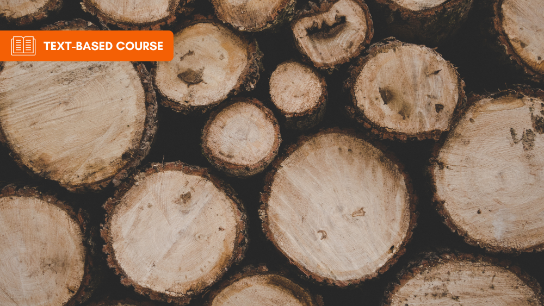 A Guide to Wood Fastenings | PE Courses by learnformula