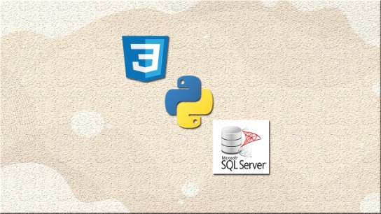 Complete CSS, Python & Microsoft SQL: Zero to Expert P3 | CPD Engineers by learnformula