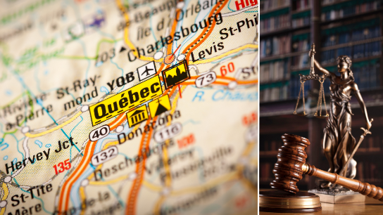 Navigating Law 96: The Implications for Businesses | CPDFormula by ...