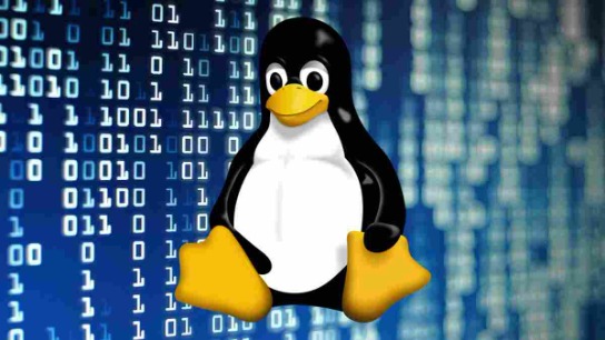 Linux Shell Scripting Project Based Approach To Learning 13 Cpd Engineers By Learnformula