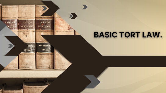 Basic Tort Law | Legal Education US by learnformula